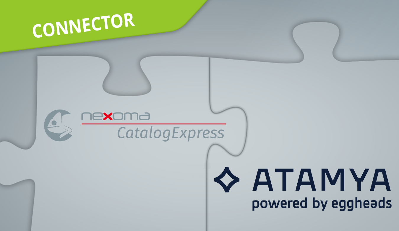 BMEcat erstellen aus ATAMYA - nexoma